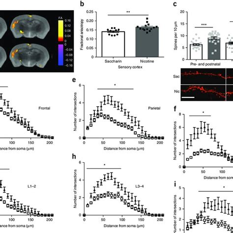 Schematic Representation Of Setd2 Structure Download Scientific Diagram