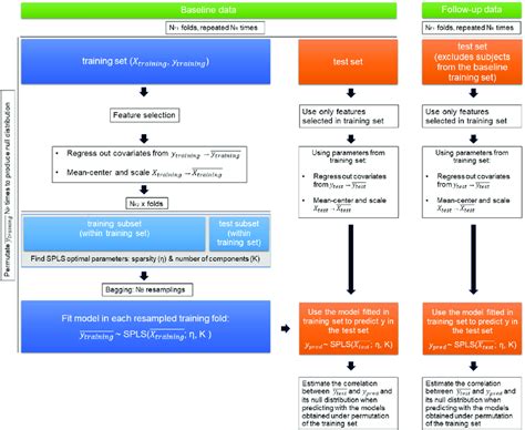Structure Of Predictive Testing Download Scientific Diagram