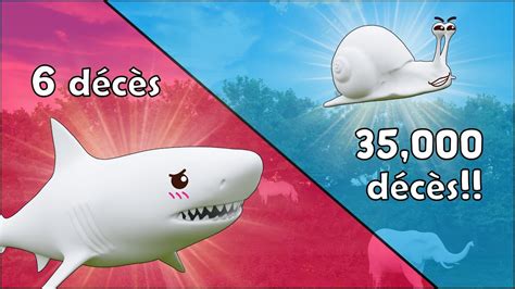 Les Animaux Les Plus Mortels Sur Terre Comparaison En D Youtube