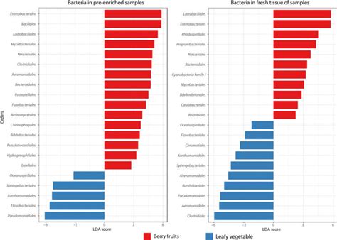Barchart Of Biomarker Among Bacterial Genera In Samples Of Berry Fruits