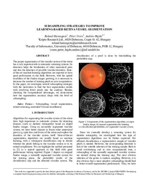 Pdf Subsampling Strategies To Improve Learning Based Retina Vessel