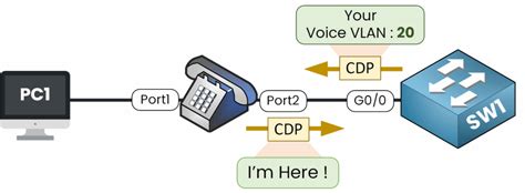 Voice Vlan Cisco Explained