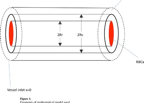Continuous Capillary Semantic Scholar