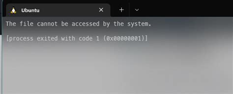 Windows Wsl 20 The File Cannot Be Accessed By The System Super User