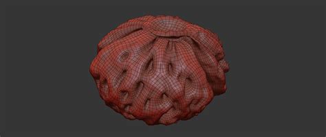 Peach Pit 003 3d Model Cgtrader