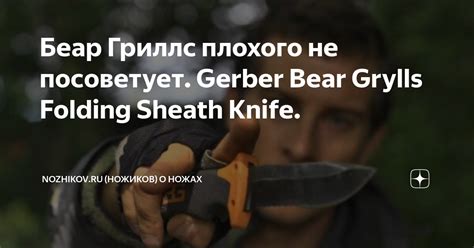 Беар Гриллс плохого не посоветует. Gerber Bear Grylls Folding Sheath ...