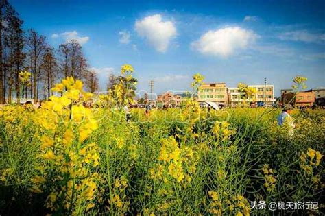 珠海斗门旅游必去的4个景点珠海斗门旅游必去的4个景点是什么 景点 华网