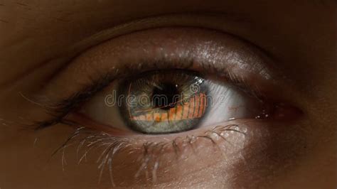 Macro Shot Of Eyes With Growth Chart Reflection Business Development