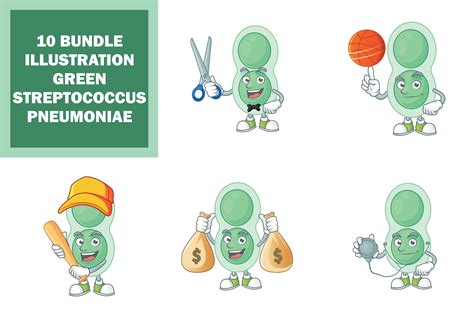 Green Streptococcus Pneumoniae Bundle Graphic By Kongvector2020 · Creative Fabrica