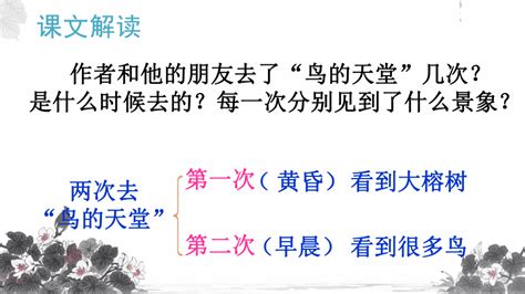 23 鸟的天堂 课件 共40张PPT 21世纪教育网 二一教育