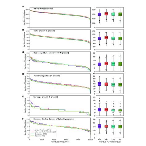 Sars Cov 2 Derived Peptide Presentation At The Hla Genotype Level Download Scientific Diagram