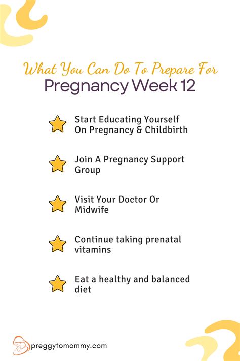 Twin Pregnancy Week By Week Timeline Artofit