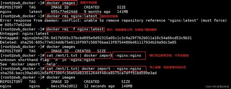 Docker镜像及容器基本操作命令docker启动镜像容器命令 Csdn博客