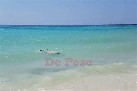 En Plena Contingencia Se Pasea En La Playa Y Se Mete Al Mar Con Sus