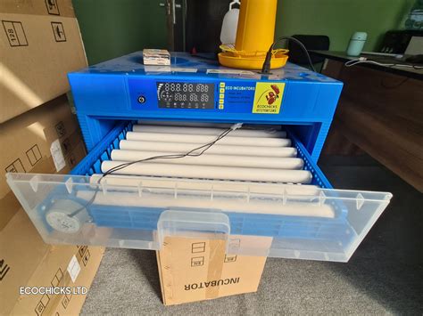 Solar Energy Egg Incubator Egg Incubator Kenya