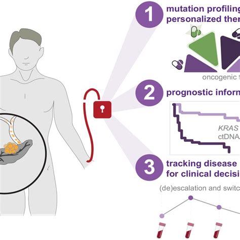 Of Ctdna Based Clinical Trials In Pdac Download Scientific Diagram