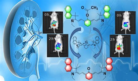 A Highly Sensitive Near Infrared Ratiometric Fluorescent Probe For Imaging Of Mitochondrial