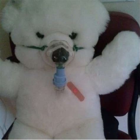 Doc McStuffins Birthday Party Ideas Photo Of Catch My Party