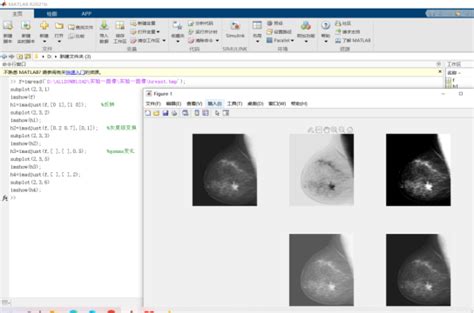 【实验报告】实验一 图像的显示运算与灰度变换图像灰度变换实验报告 Csdn博客