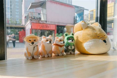 宠物咖啡体验之旅（二）——享受hey！we Go的柴犬时光