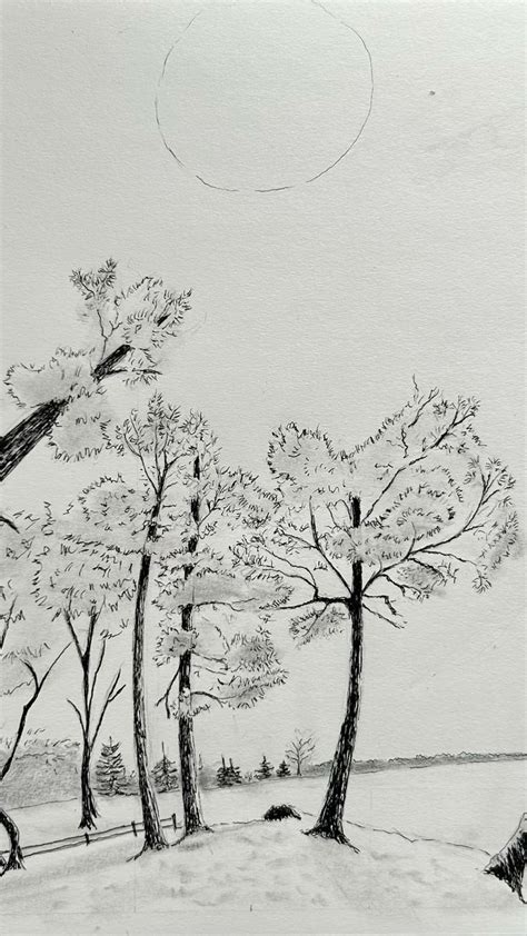 Pen And Ink Drawing Of Trees In A Forest Drawn In Warped Perspective Tree Illustration Ink