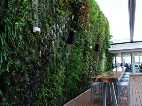 Vertical Gardening Lecture Transforming Naked Walls With Nature