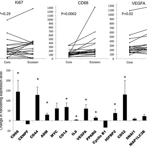 Heatmap Of Unsupervised Clustering Of Both The Cnb And Eb Samples
