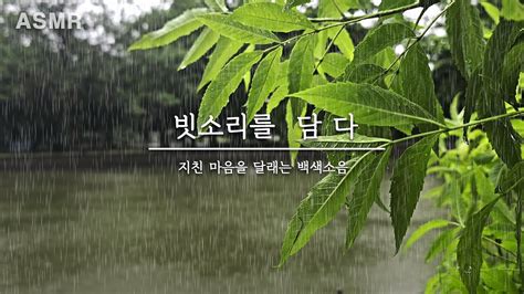 한적한 공원의 빗소리 Asmr 긴장 완화와 마음의 안정을 위한 백색소음 스트레스 해소 이명 완화 집중력 향상 음악 자연의 소리 비멍 Youtube