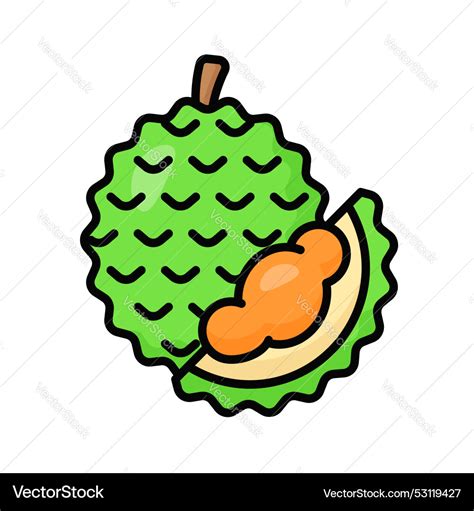 Durian Royalty Free Vector Image VectorStock