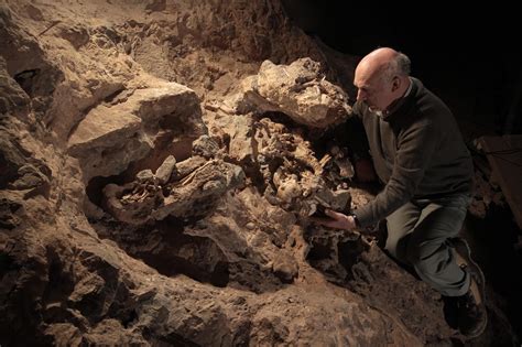 Revelado Al Mundo El Esqueleto De Australopithecus Más Completo