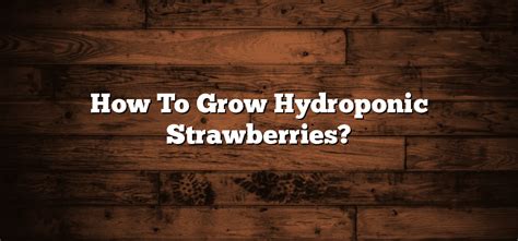 How To Grow Hydroponic Strawberries Inter Culturalu