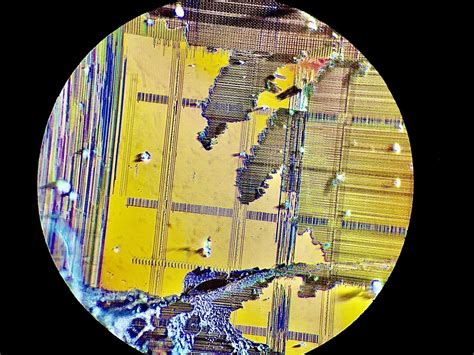 A Sliver Of A Shattered Intel Celeron Processor 2049 X 1537 Oc R