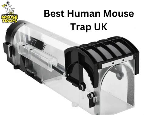 What Are The Best Humane Mouse Trap Type In Uk Mouse Traps