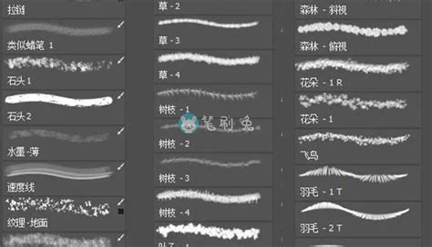 2000款ps绘画插画精选笔刷合集 笔刷兔