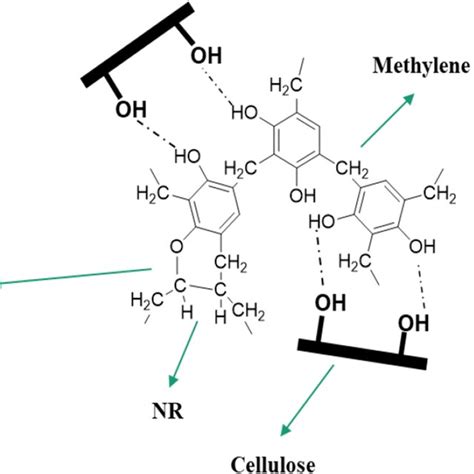 Scheme Of Plausible Reaction Of Composite Formation 20 Download