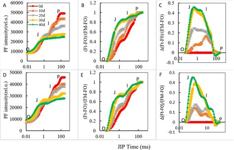 The Transients Of Prompt Chlorophyll A Fluorescence In Leaves Of M