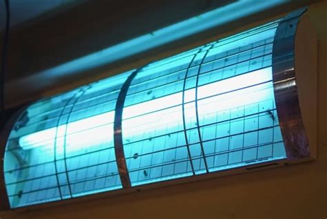 How To Use Uv Light To Detect Bed Bugs — Bed Bugs Insider