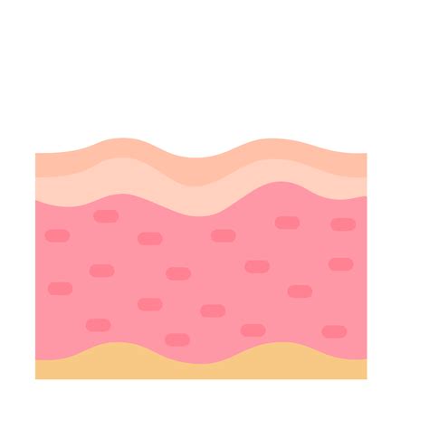 Human Skin Layer Caring For Protecting The Skin From The Sun With A