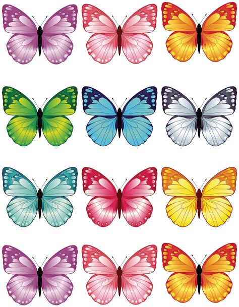 Шаблон бабочек распечатать цветные