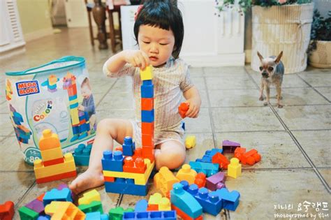 아기블럭 장난감 소근육발달에 좋지요 W메가블럭 네이버 블로그