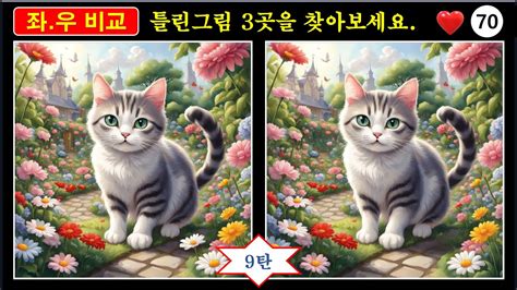 틀린그림찾기9탄다른그림찾기 인지기능 향상 사고력 향상 뇌건강 치매예방 Youtube
