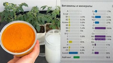 ДЛЯ Роста Корней И ОТ Вытягивания Рассады Важная Подкормка Полейте ЭТИМ Томаты Перцы Огурцы