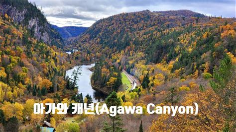 캐나다 아가와 캐년 단풍열차 깊어가는 가을날에 Autumn Leaves 🍁 🍁 🍁 Youtube