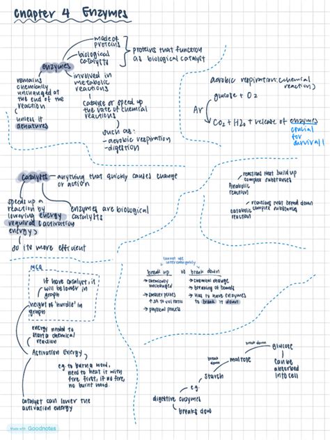 Bio Class Notes Pdf Digestion Enzyme