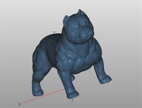 3d сканирование