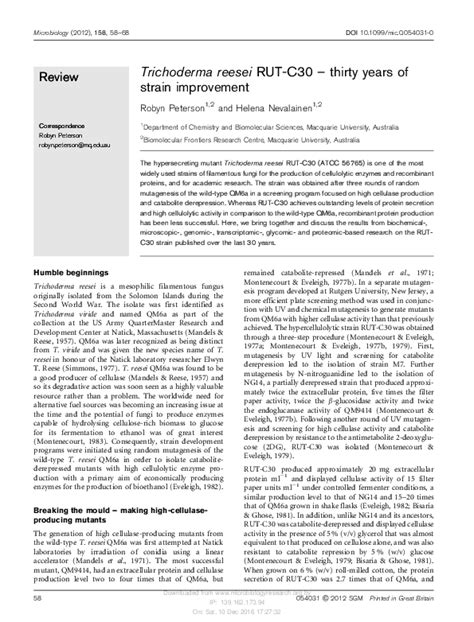 Pdf Trichoderma Reesei Rut C30 Thirty Years Of Strain Improvement Suzan Yami