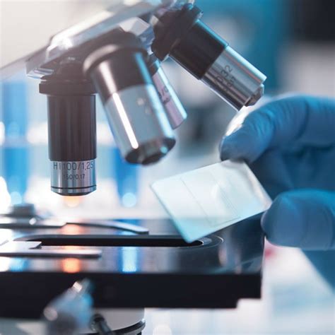 СНК кафедры Гистологии эмбриологии и цитологии — смотреть онлайн все 5 видео в 2025 ВКонтакте