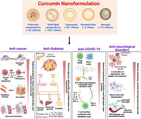 Molecular Targets Of Curcumin Nanoformulations Increasing Lines Of Download Scientific Diagram