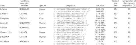 Information On The Primers Used For Amplification Download Table