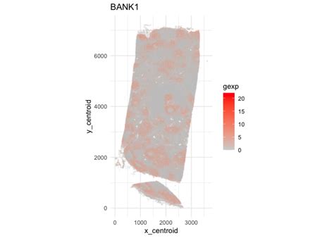 Jefworks Lab Spatial Transcriptomics Analysis Of Xenium Lymph Node